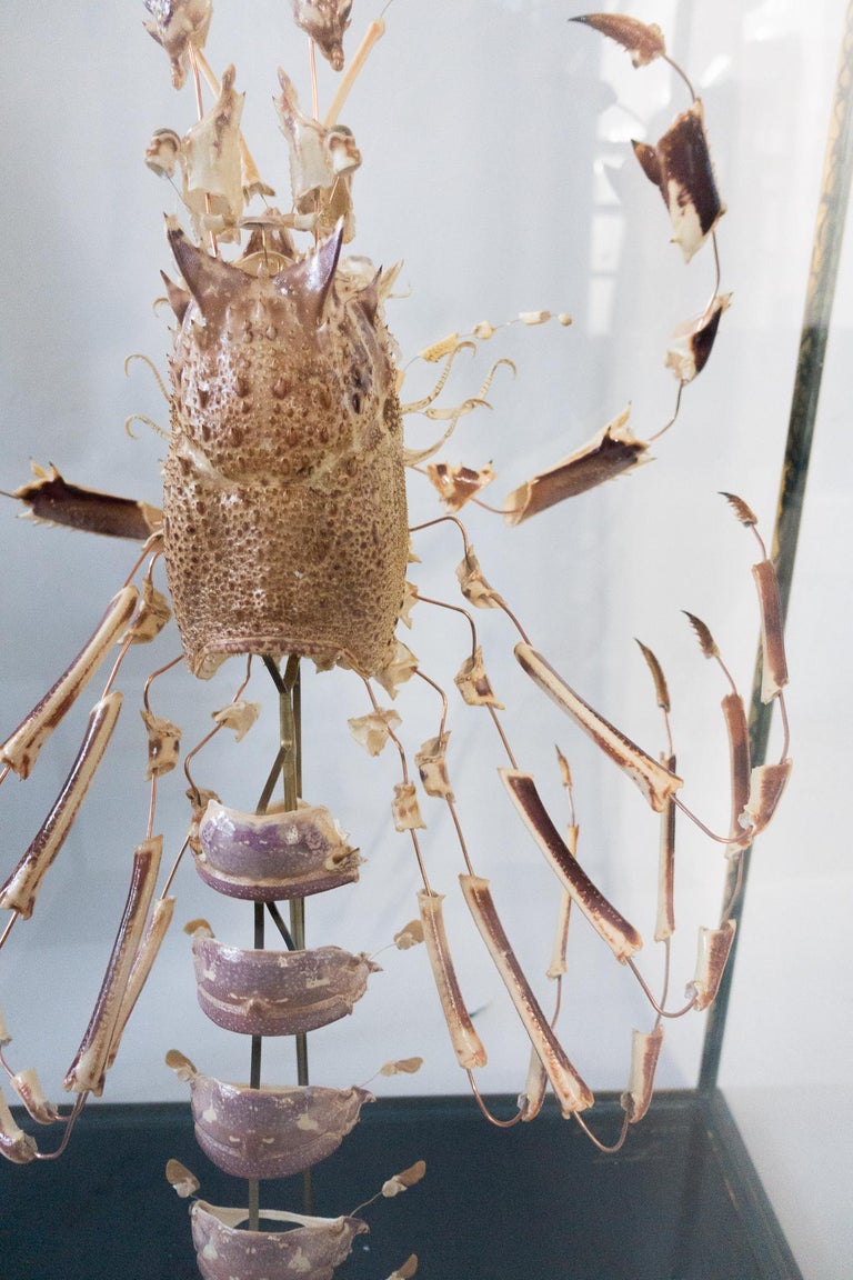 Large French Deconstructed Clawed Lobster Sculpture in a Glass and ...