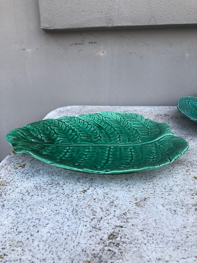 Large French Fern Leaf Sarreguemines, Circa 1930 For Sale at 1stDibs