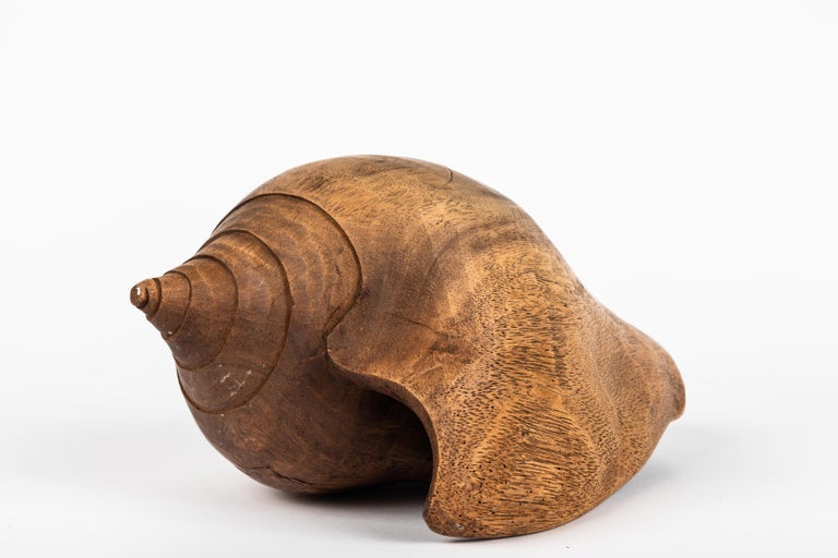 Large French Hand Carved Oak Shell For Sale at 1stDibs