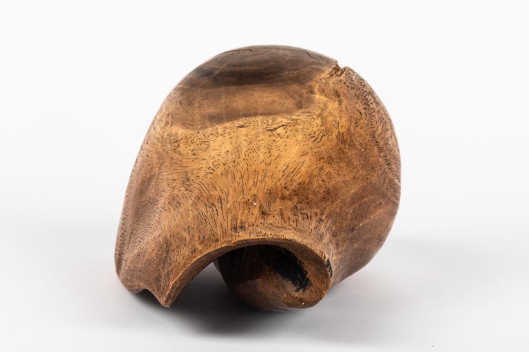 Large French Hand Carved Oak Shell For Sale at 1stDibs