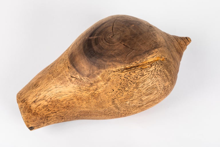 Large French Hand Carved Oak Shell For Sale at 1stDibs