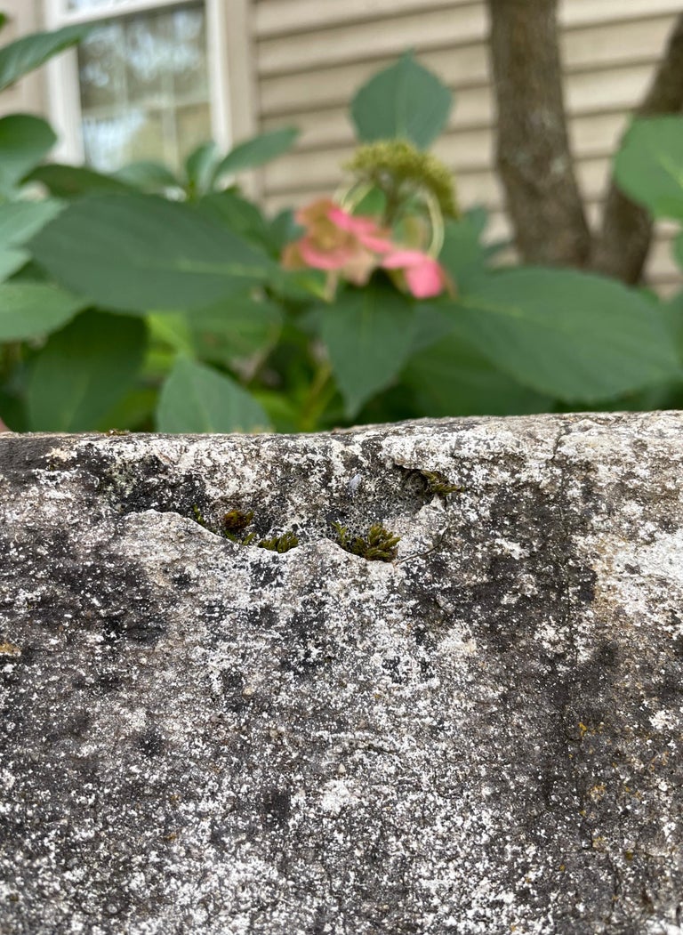 Large French Mid-Century Bowl/Font/Planter For Sale at 1stDibs