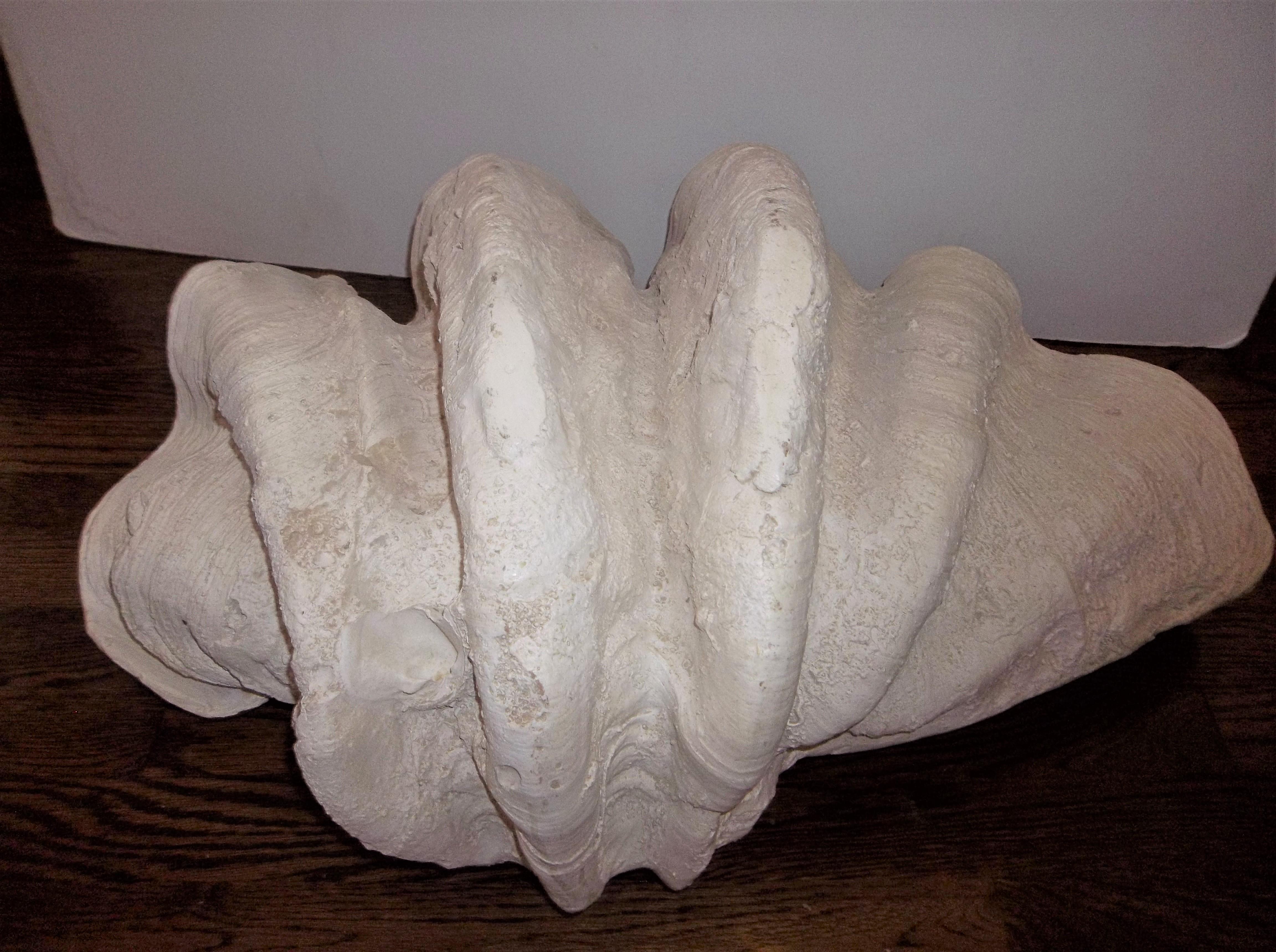 Large Gilded Clam Form Planter Jardiniere or Table Centerpiece at 1stDibs