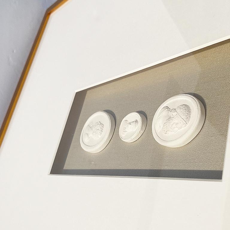 Large Gold Framed Grand Tour 19th Century Intaglio Collection with ...