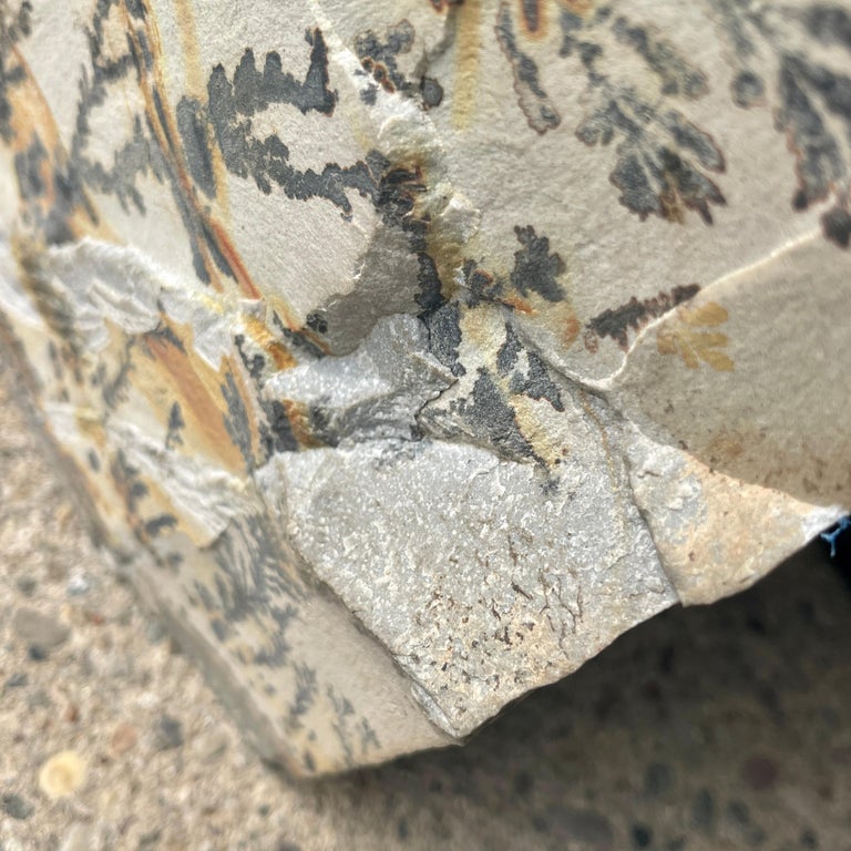 Large Granite Stone Fragment with Natural Deposits of Plant Decor at ...