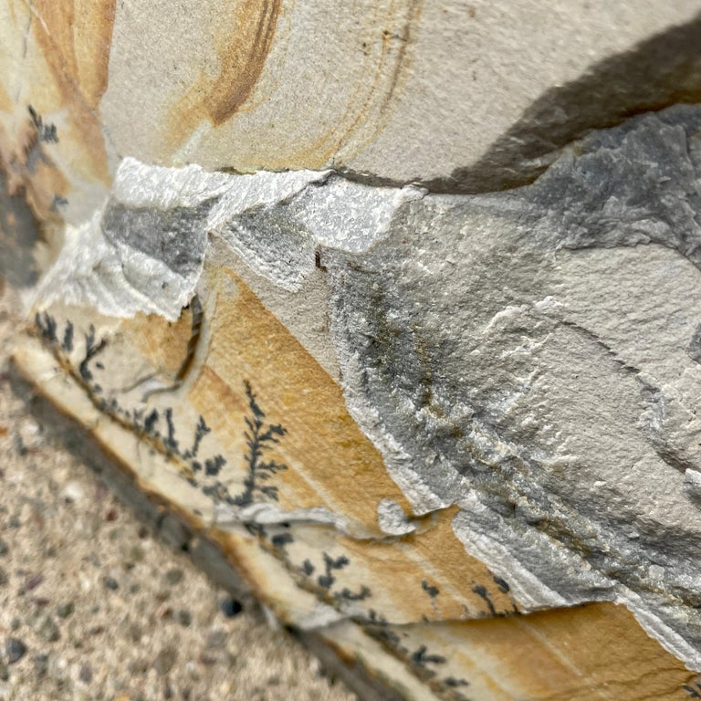 Large Granite Stone Fragment with Natural Deposits of Plant Decor at ...