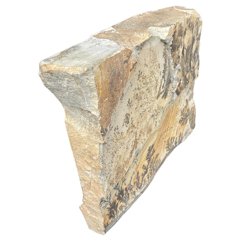 Large Granite Stone Fragment with Natural Deposits of Plant Decor at ...