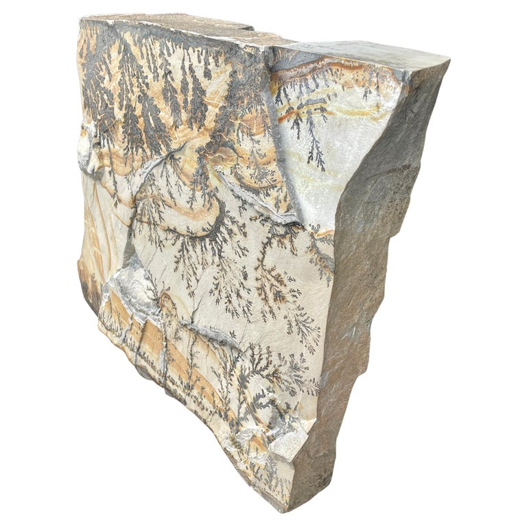 Large Granite Stone Fragment with Natural Deposits of Plant Decor at ...