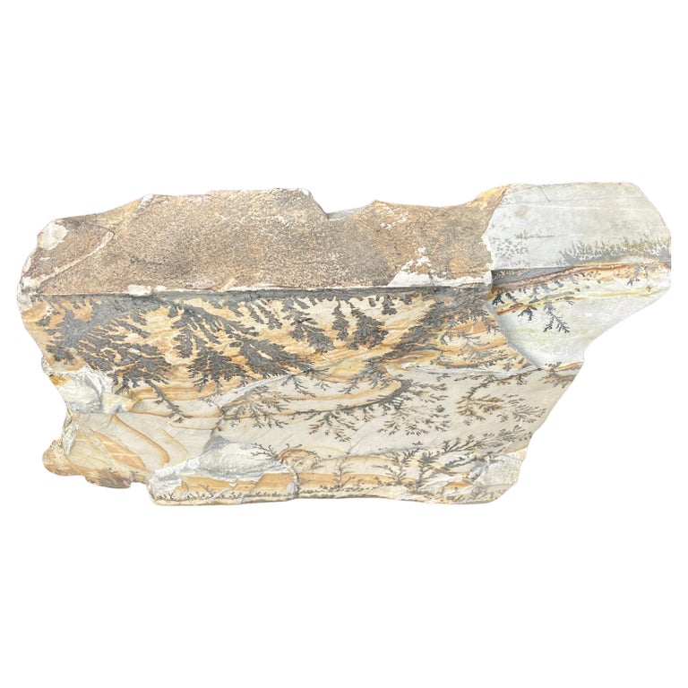 Large Granite Stone Fragment with Natural Deposits of Plant Decor at ...