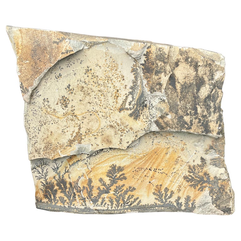 Large Granite Stone Fragment with Natural Deposits of Plant Decor at ...