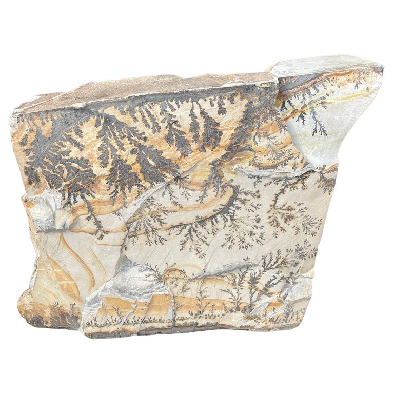 Large Granite Stone Fragment with Natural Deposits of Plant Decor at ...