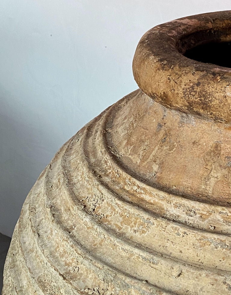 Large Greek Garden Urn or Oil Jar at 1stDibs | big urn, large greek urn ...