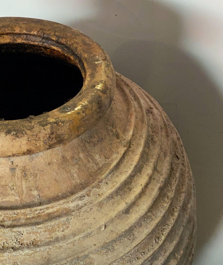 Large Greek Garden Urn or Oil Jar at 1stDibs | big urn, large greek urn ...