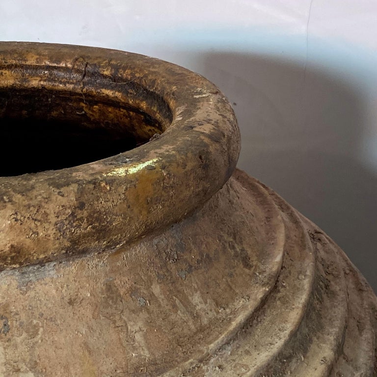 Large Greek Garden Urn or Oil Jar at 1stDibs | big urn, large greek urn ...