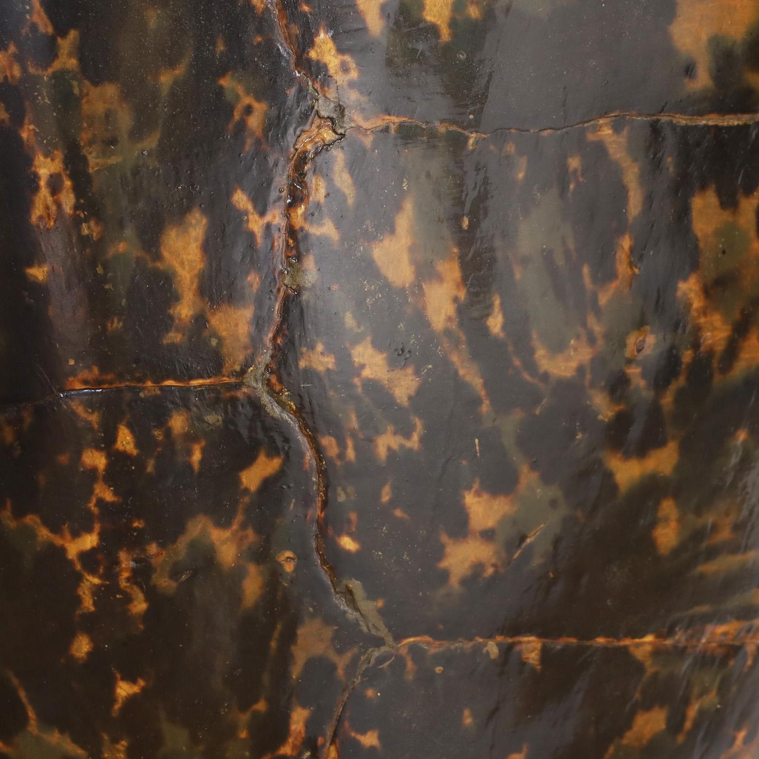 Large Green Turtle Shell at 1stDibs