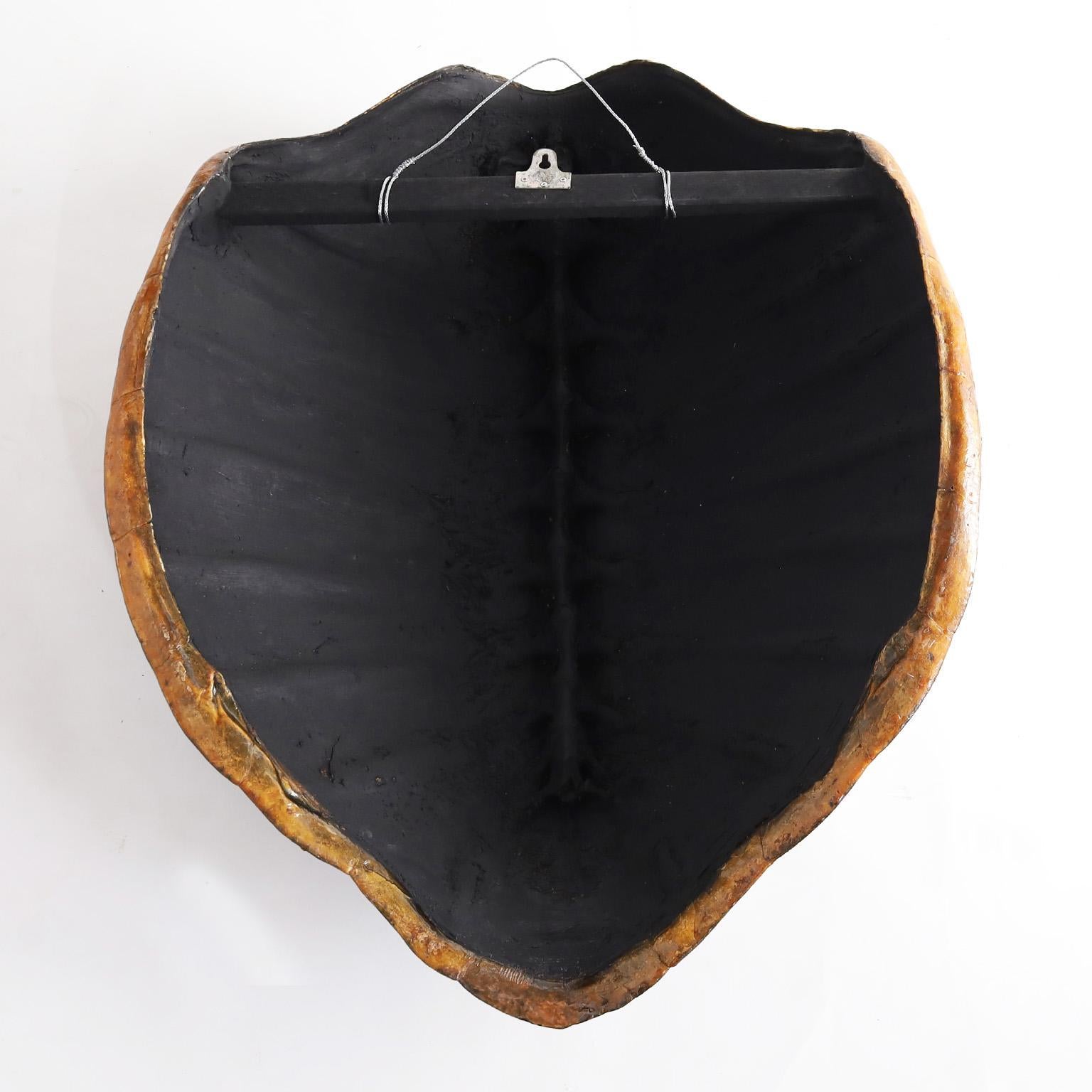Large Green Turtle Shell at 1stDibs