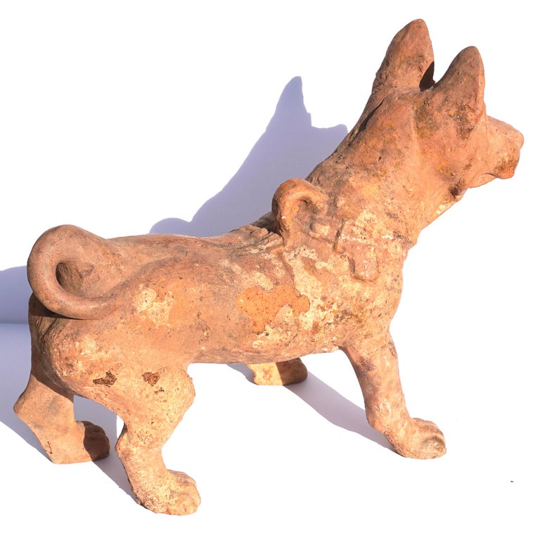 Large Han Dynasty Pottery Sculpture of a Dog For Sale at 1stDibs | han dog