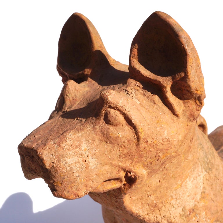 Large Han Dynasty Pottery Sculpture of a Dog For Sale at 1stDibs | han dog