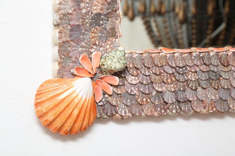Large Horizontal Seashell Mirror For Sale at 1stDibs