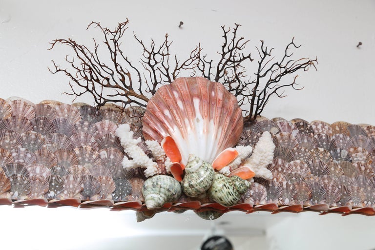 Large Horizontal Seashell Mirror For Sale at 1stDibs