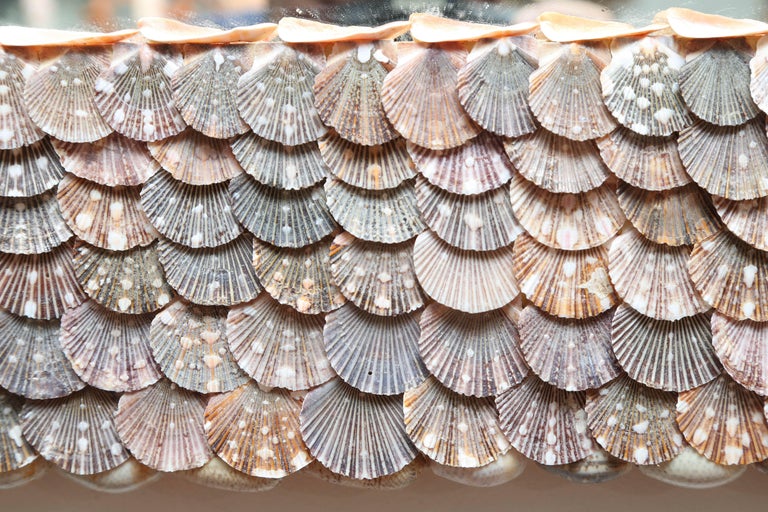Large Horizontal Seashell Mirror For Sale at 1stDibs