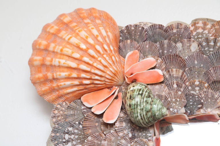 Large Horizontal Seashell Mirror For Sale at 1stDibs