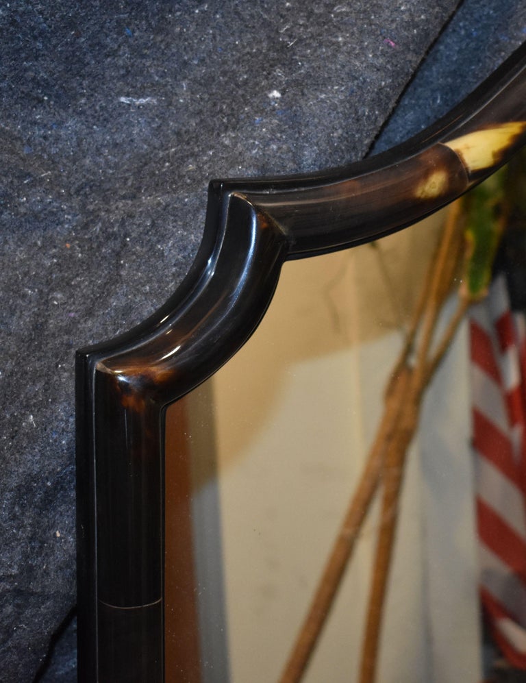 Large Horn Mirror at 1stDibs