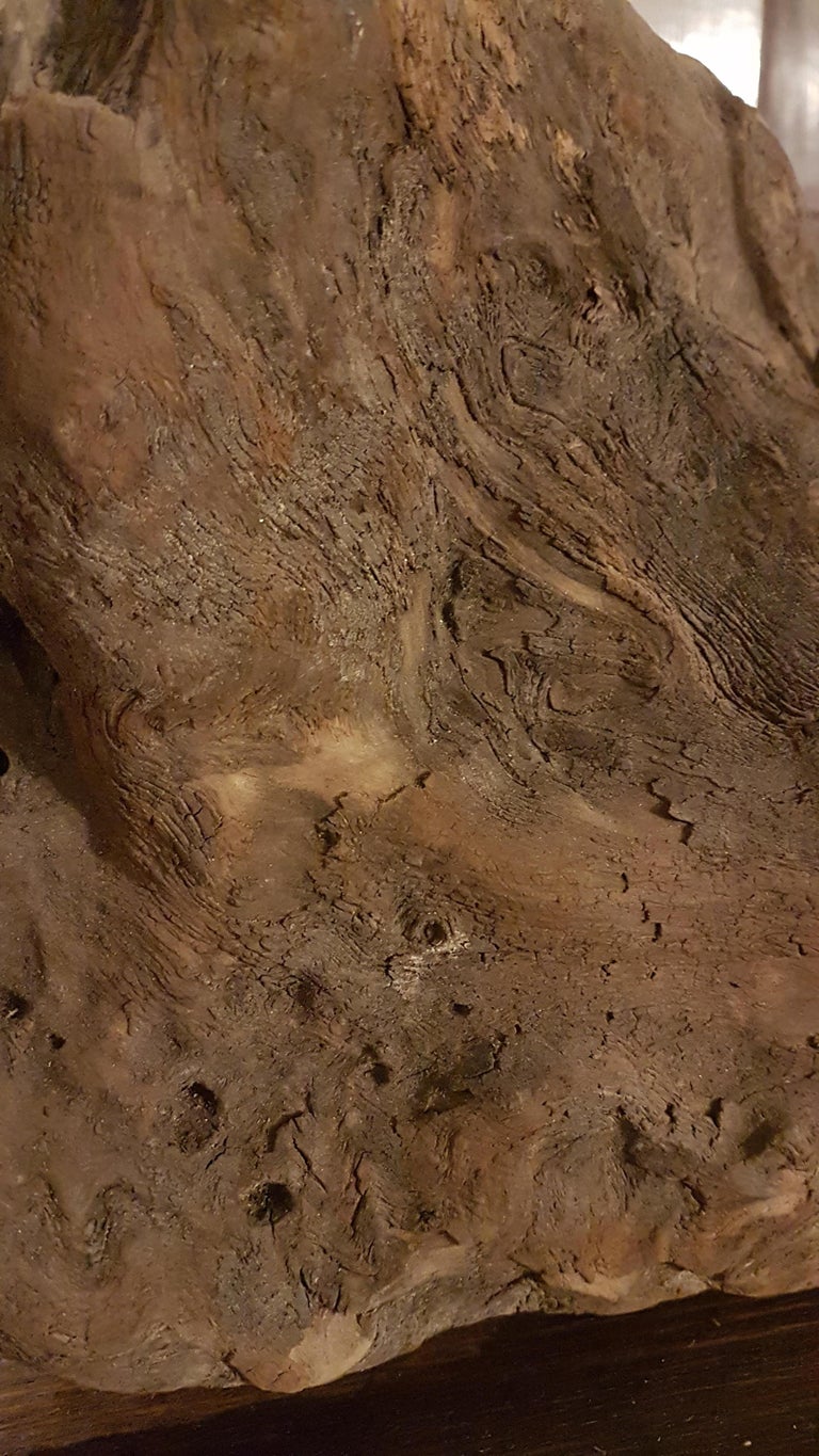 Large Humpback Whale Sculpture on Bog Yew Log For Sale at 1stDibs ...