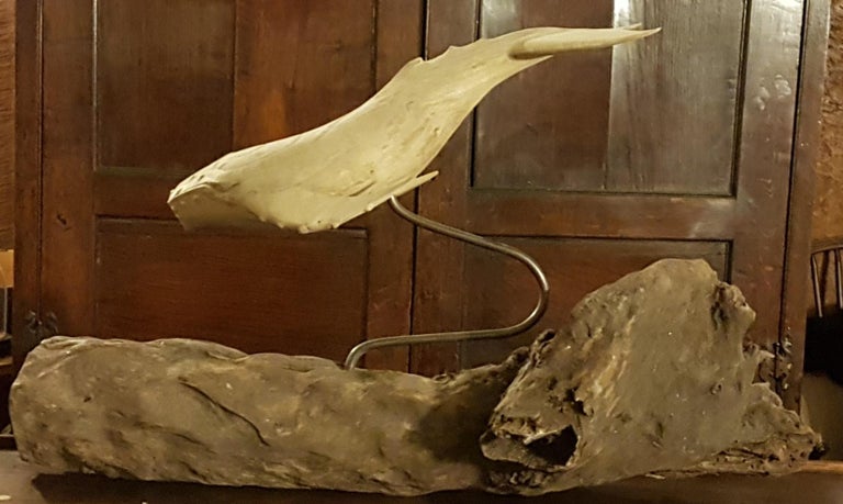 Large Humpback Whale Sculpture on Bog Yew Log For Sale at 1stDibs ...