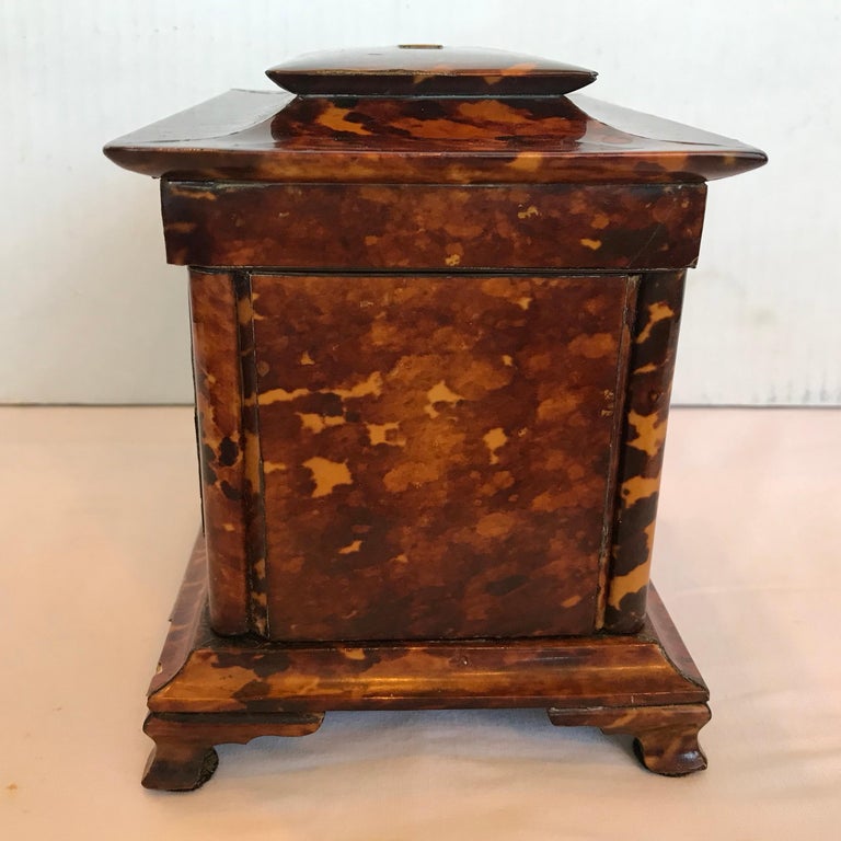 Large Inlaid Regency Tea Caddy at 1stDibs