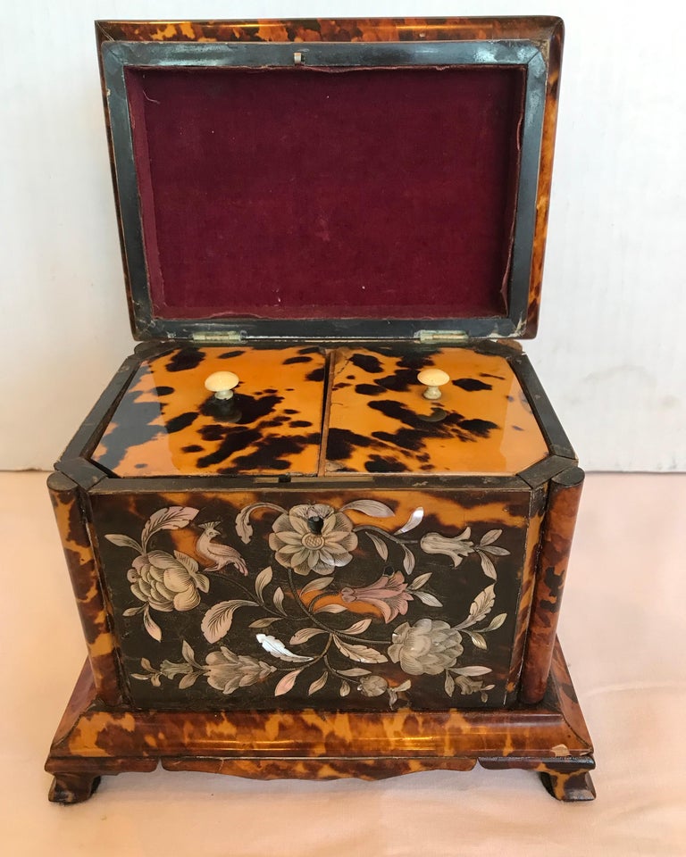 Large Inlaid Regency Tea Caddy at 1stDibs