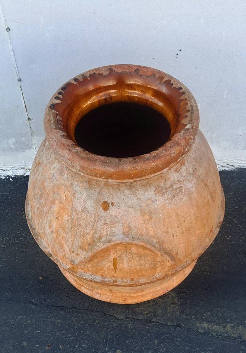 Large Italian Terracotta Olive Jar, Jardinière Planter For Sale at ...