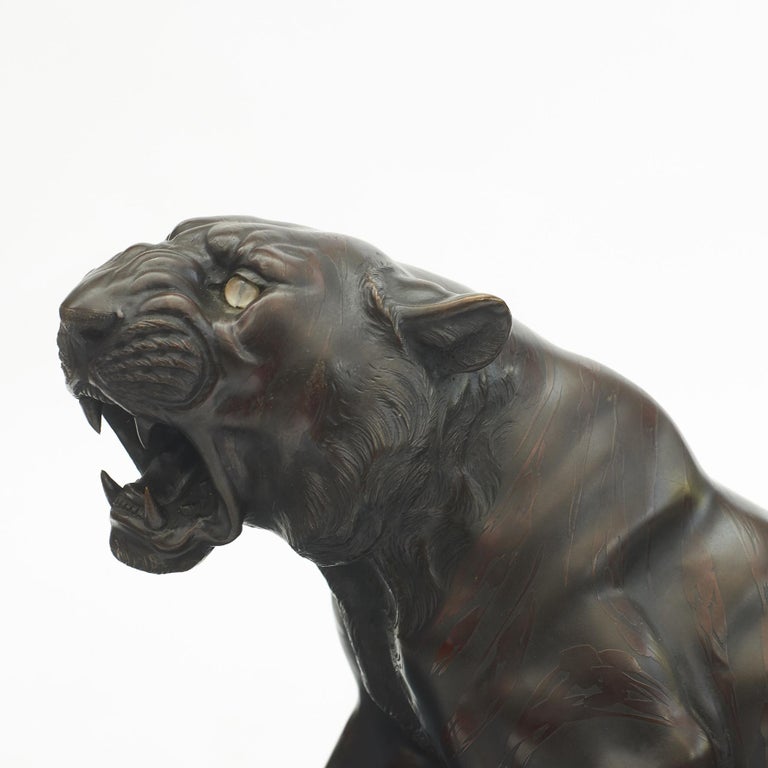 Large Japanese Bronze Meiji Period Tiger at 1stDibs