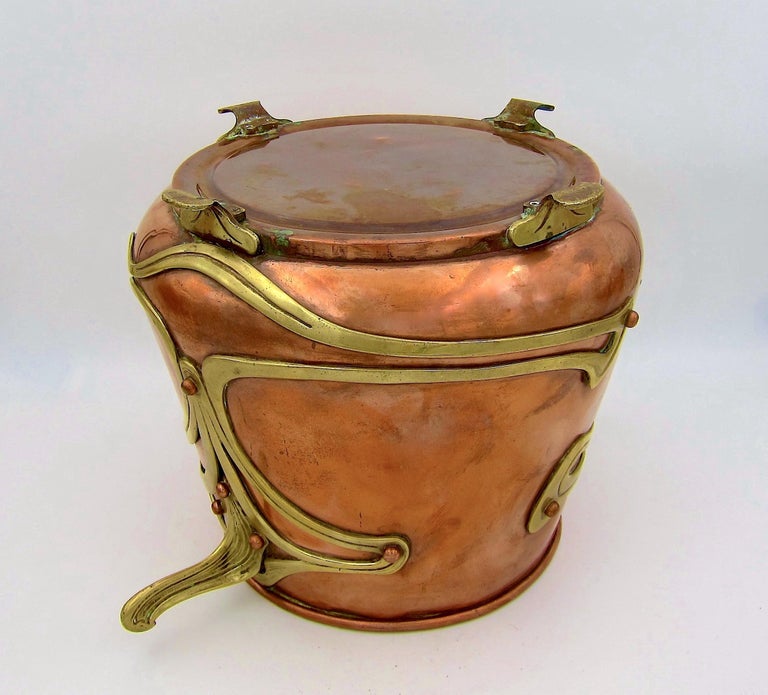 Large Jugendstil Copper Jardinière with Brass Whiplash Accents, circa ...