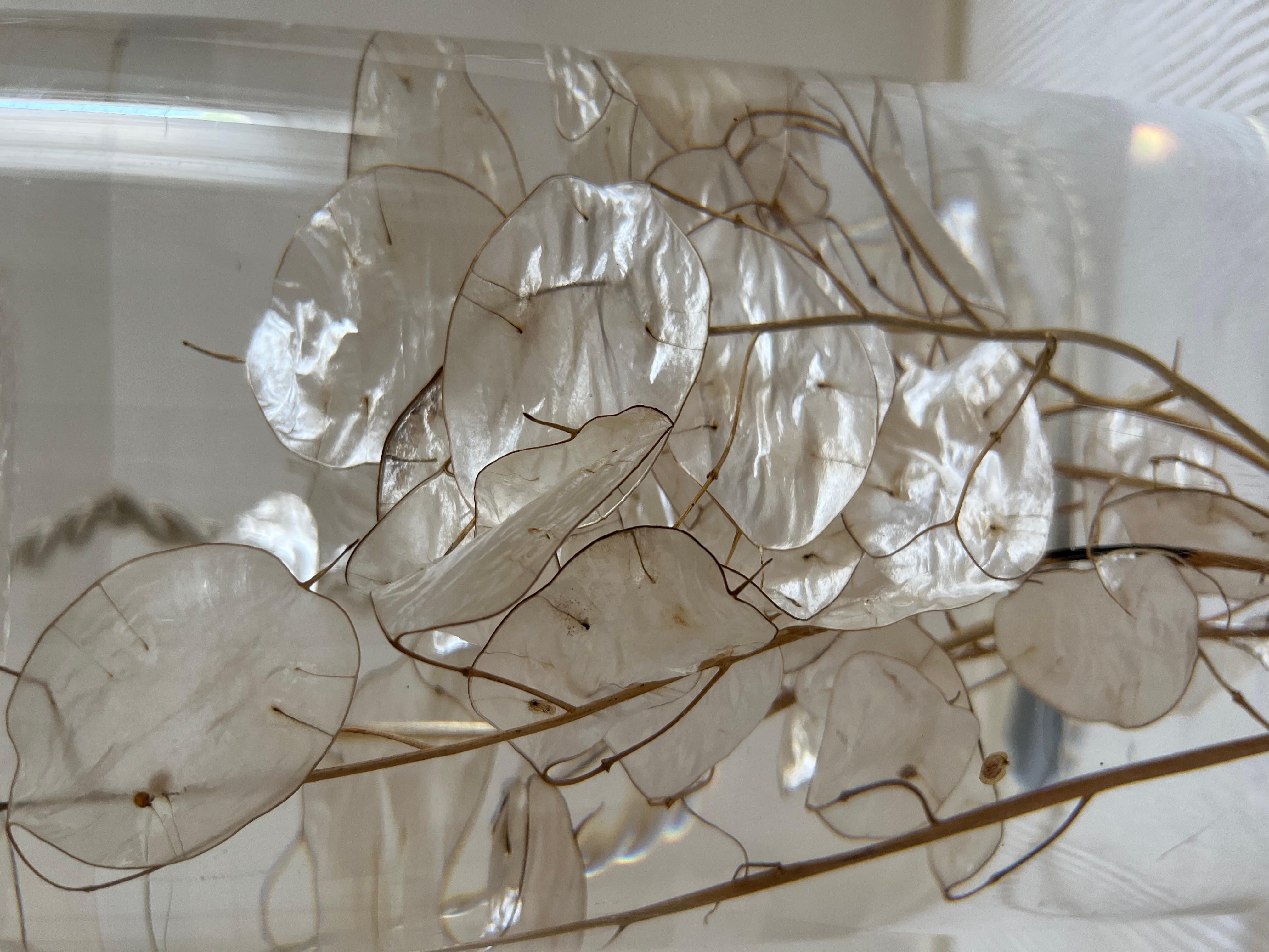 Large Lamp in Translucent Resin with Vegetal Inclusions, France, 1970s ...