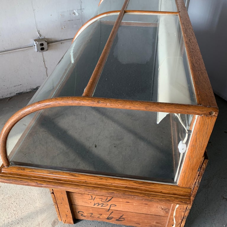 Pair of Large Late Victorian Shop Display Case, Museum, Collector’s ...