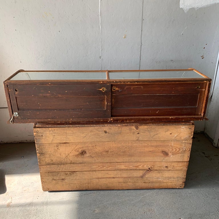 Pair of Large Late Victorian Shop Display Case, Museum, Collector’s ...