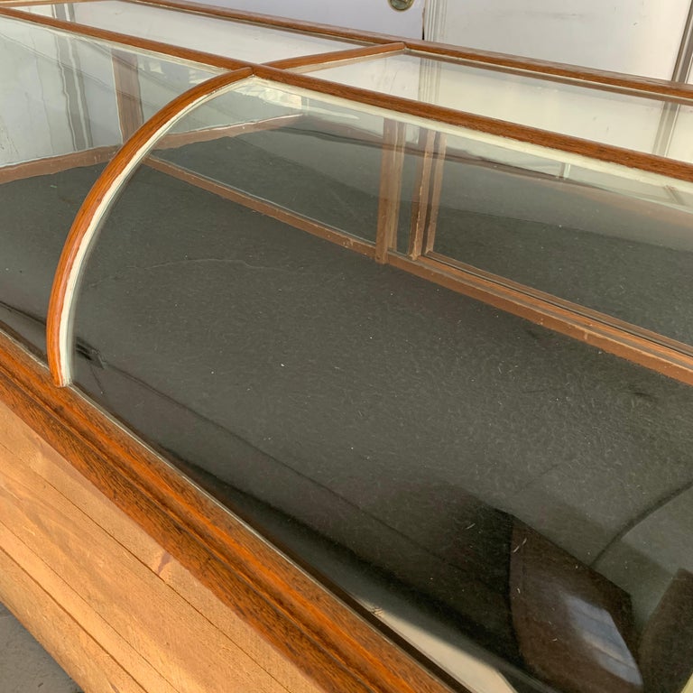 Pair of Large Late Victorian Shop Display Case, Museum, Collector’s ...