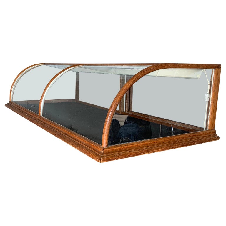 Pair of Large Late Victorian Shop Display Case, Museum, Collector’s ...