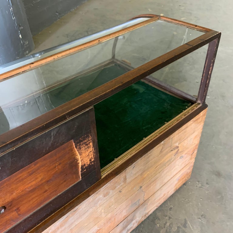 Large Late Victorian Shop Display Case, Museum, Collector’s Cabinet For ...