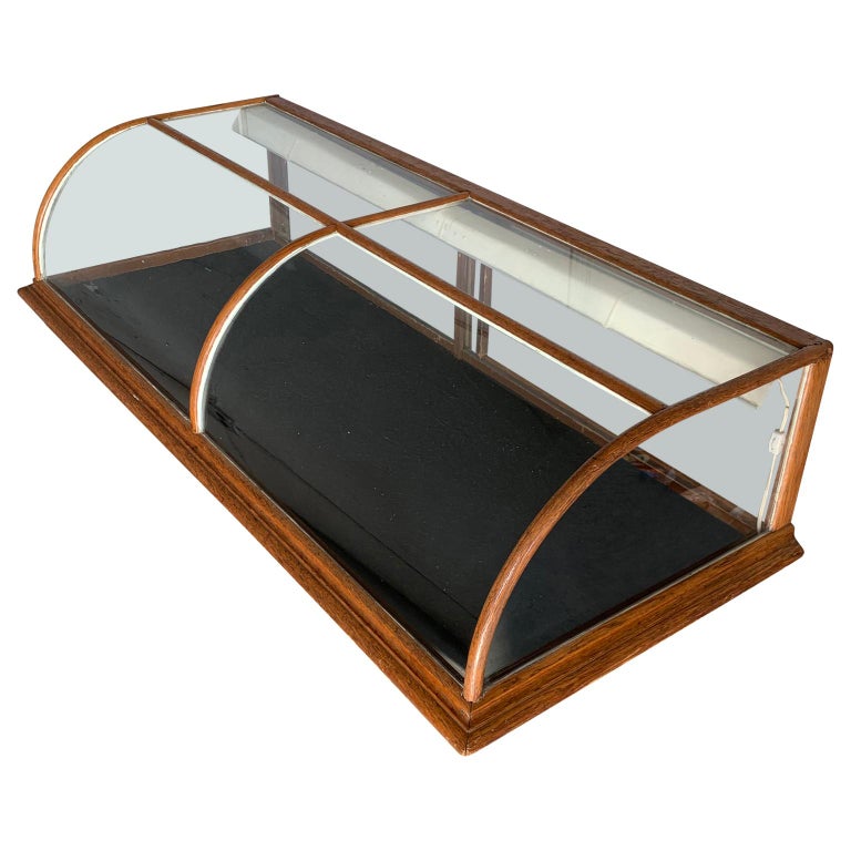 Pair of Large Late Victorian Shop Display Case, Museum, Collector’s ...