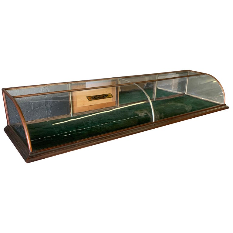 Large Late Victorian Shop Display Case, Museum, Collector’s Cabinet For ...