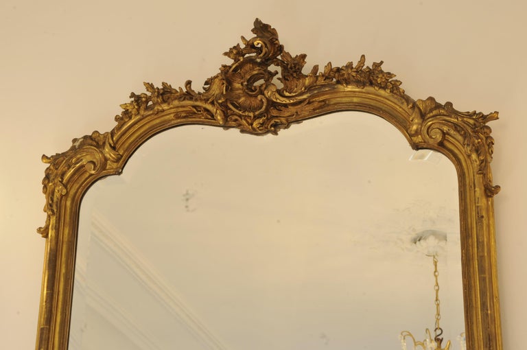 Large Louis XV Rocaille Style Mirror in Wood and Golden Stucco For Sale ...