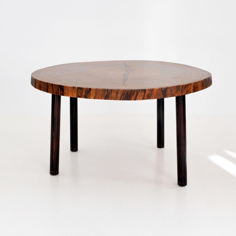 Large Macassar Ebony Tree Trunk Couch Table with Polished Surface, C ...