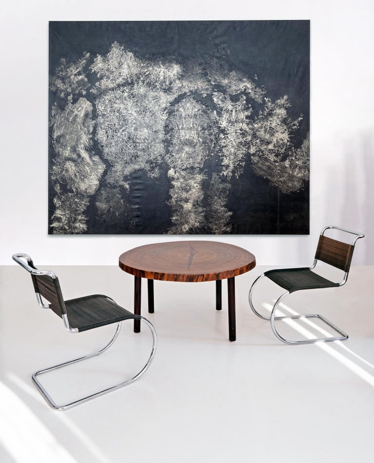 Large Macassar Ebony Tree Trunk Couch Table with Polished Surface, C ...