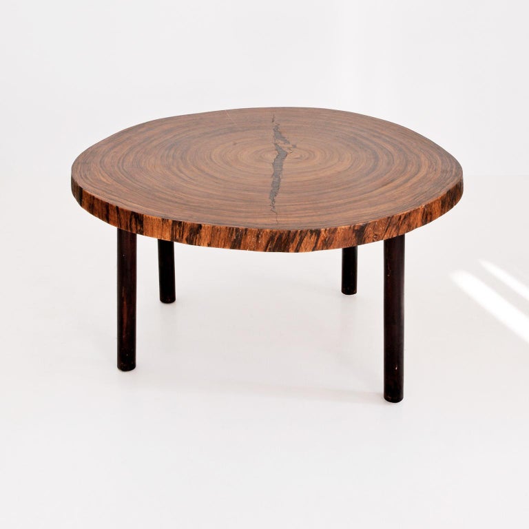 Large Macassar Ebony Tree Trunk Couch Table with Polished Surface, C ...