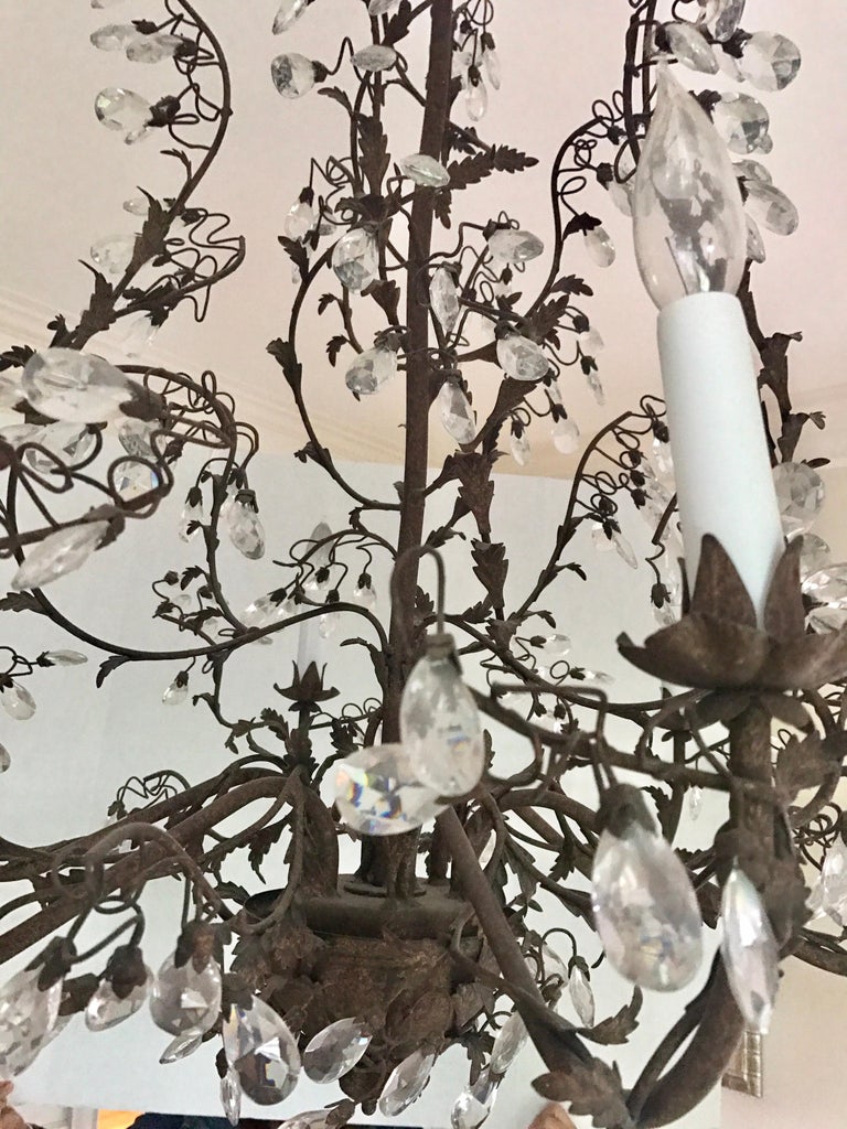 Large Made in Italy Crystal and Metal Tole Six-Light Vine Chandelier at ...
