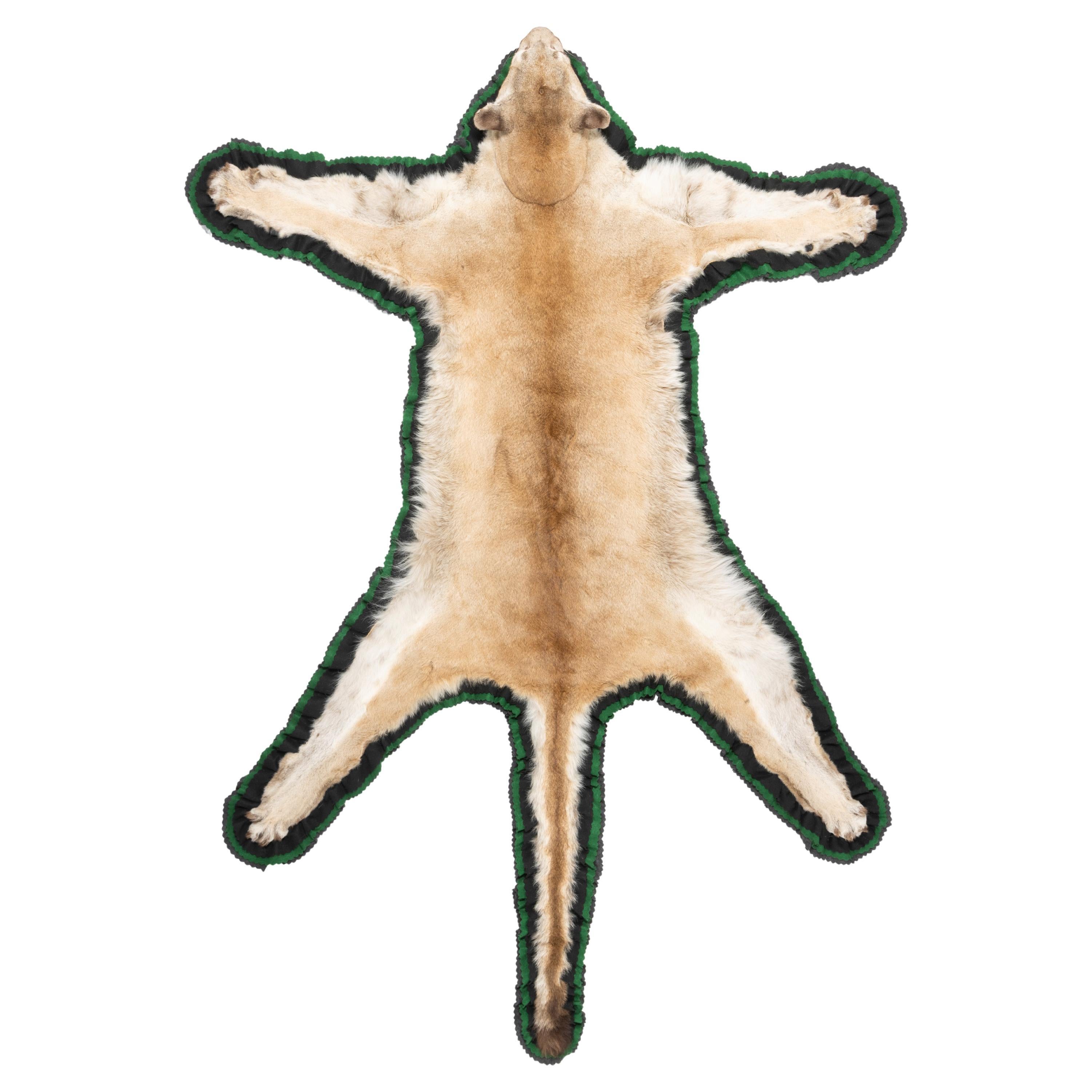 Large Male Cougar Taxidermy Rug For Sale at 1stDibs