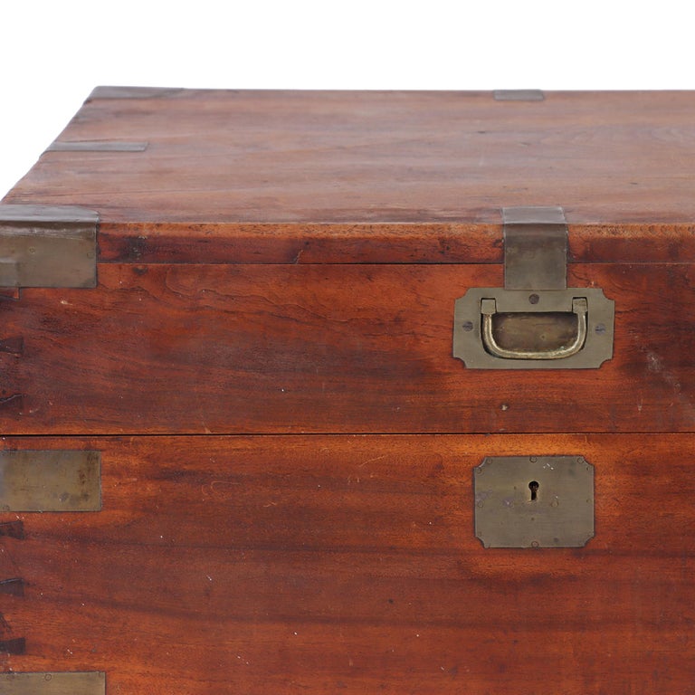 Large Marine Chest / Campaign Chest in Camphor Wood from the 19th ...
