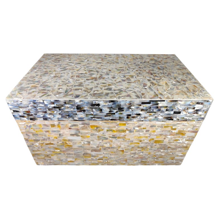 Large Mother Of Pearl Box 20th Century For Sale at 1stDibs